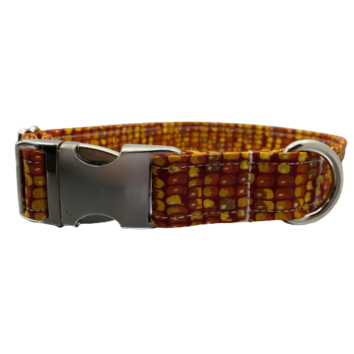 Indian Corn Dog Collar – Bailey N Buddies